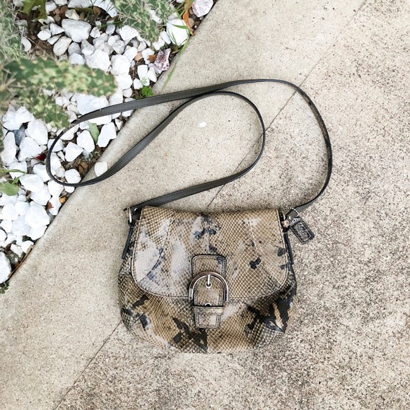 Coach | Bags | Coach Snake Print Leather Crossbody | Poshmark